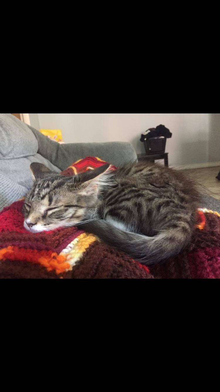 Quick snooze before takeoff 😴 | Scrolller