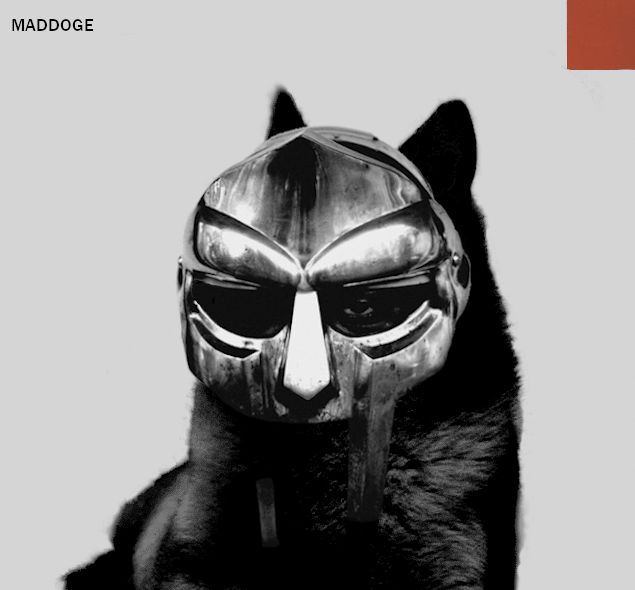 R.I.P DOOM | Scrolller