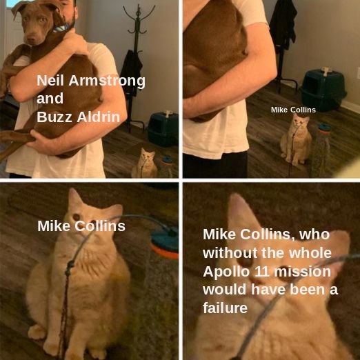 R.I.P. Michael Collins | Scrolller