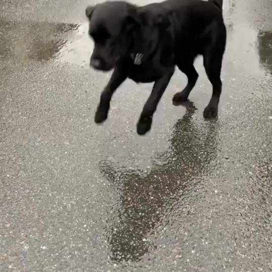 Rain dance! | Scrolller