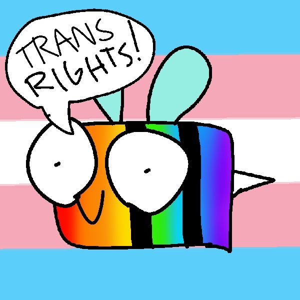 Rainbow bee says trans rights | Scrolller
