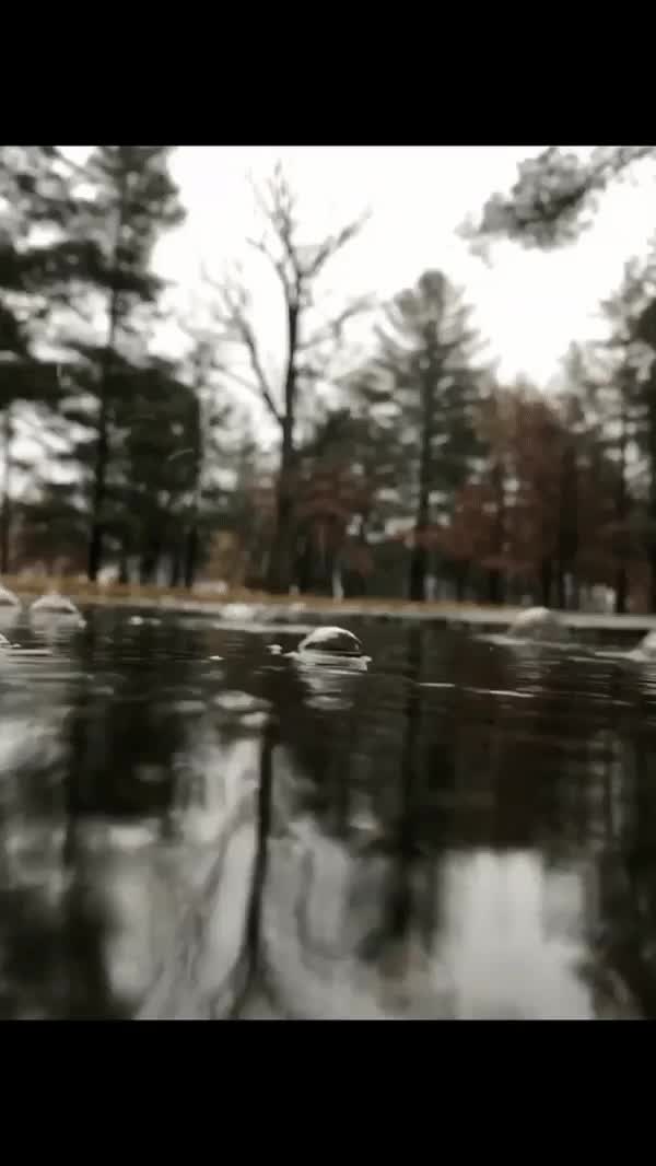 Raining Puddle | Scrolller