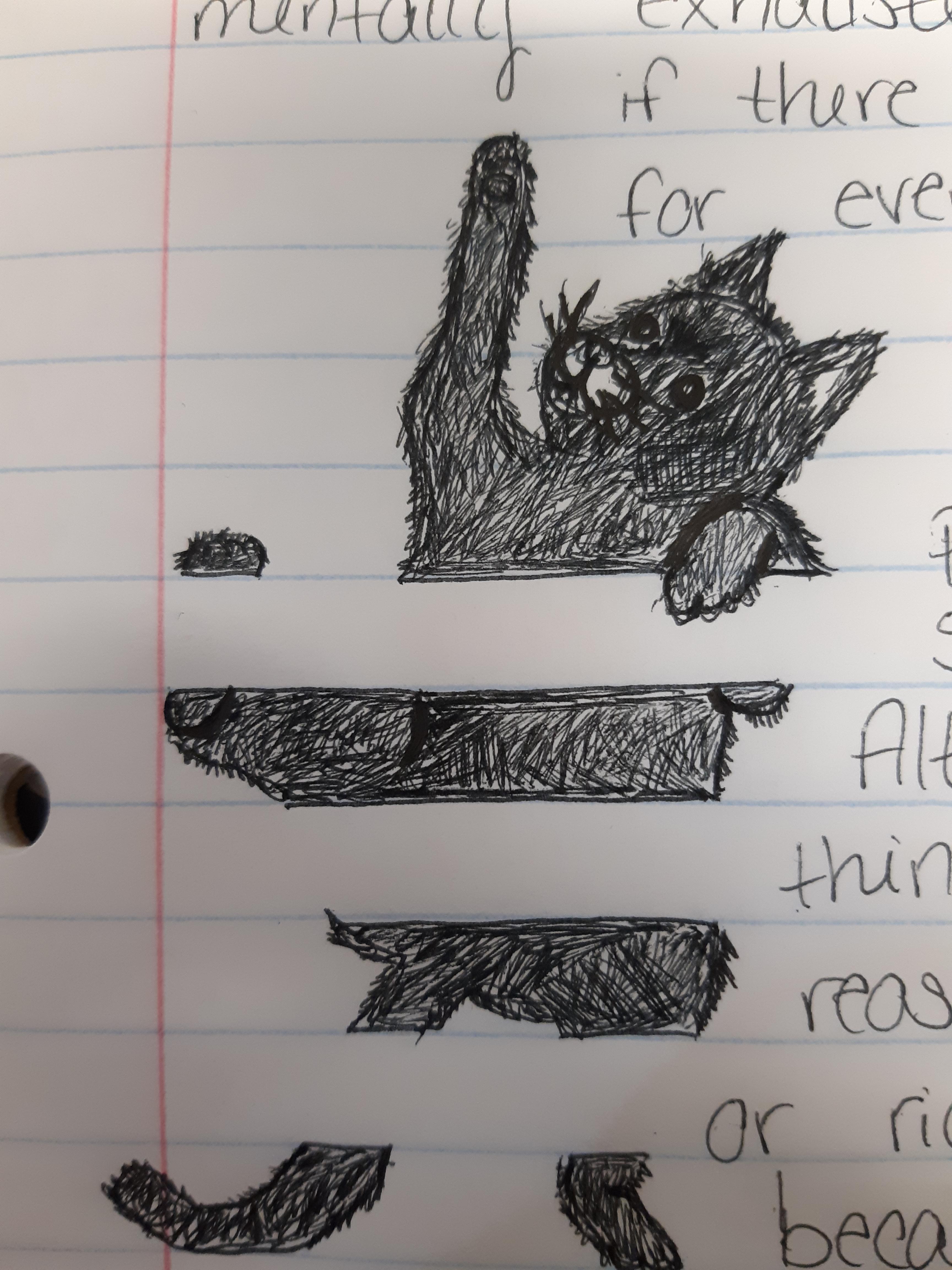 Random doodle drawing 🤨 | Scrolller