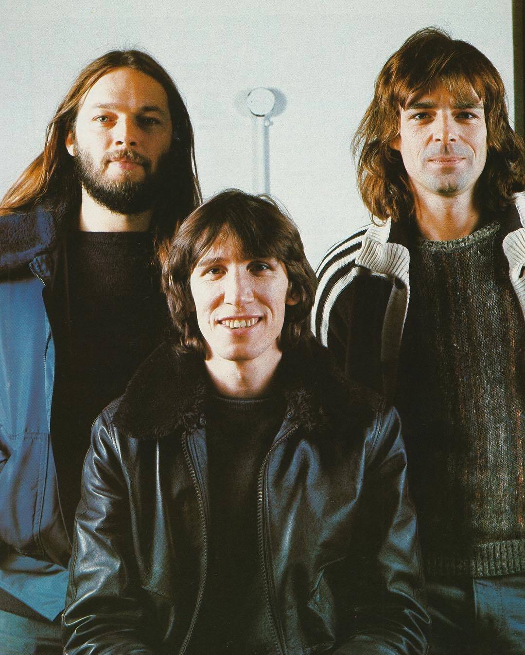 Rare Image From The Animals Era '77 | Scrolller