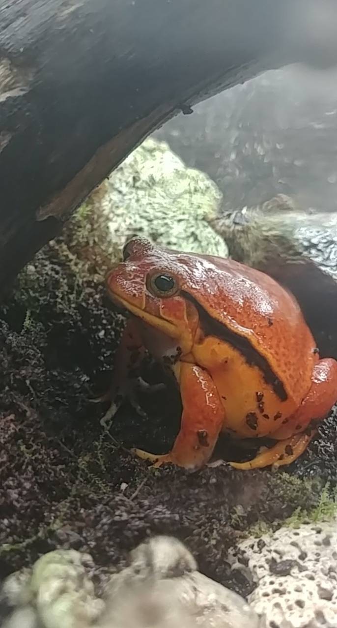 Rare pic of Angelo not looking grumpy. | Scrolller