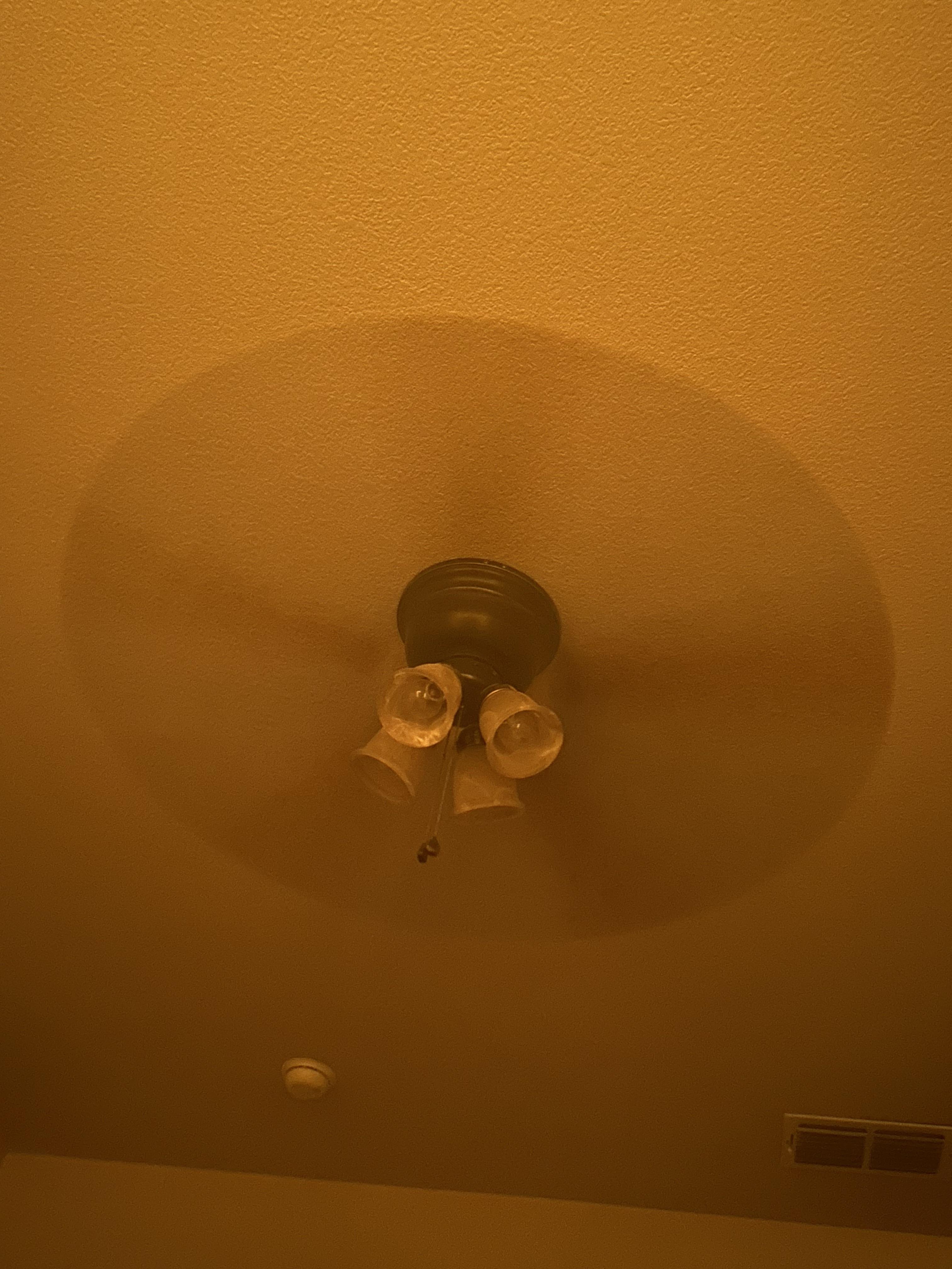 Rate my fan on a scale of zero to ten | Scrolller