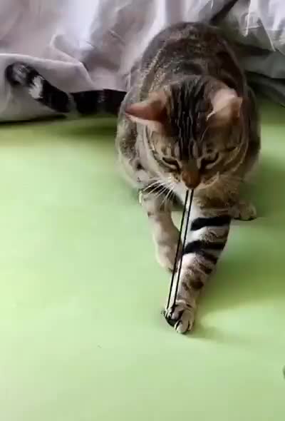 Ready, aim, fire! | Scrolller