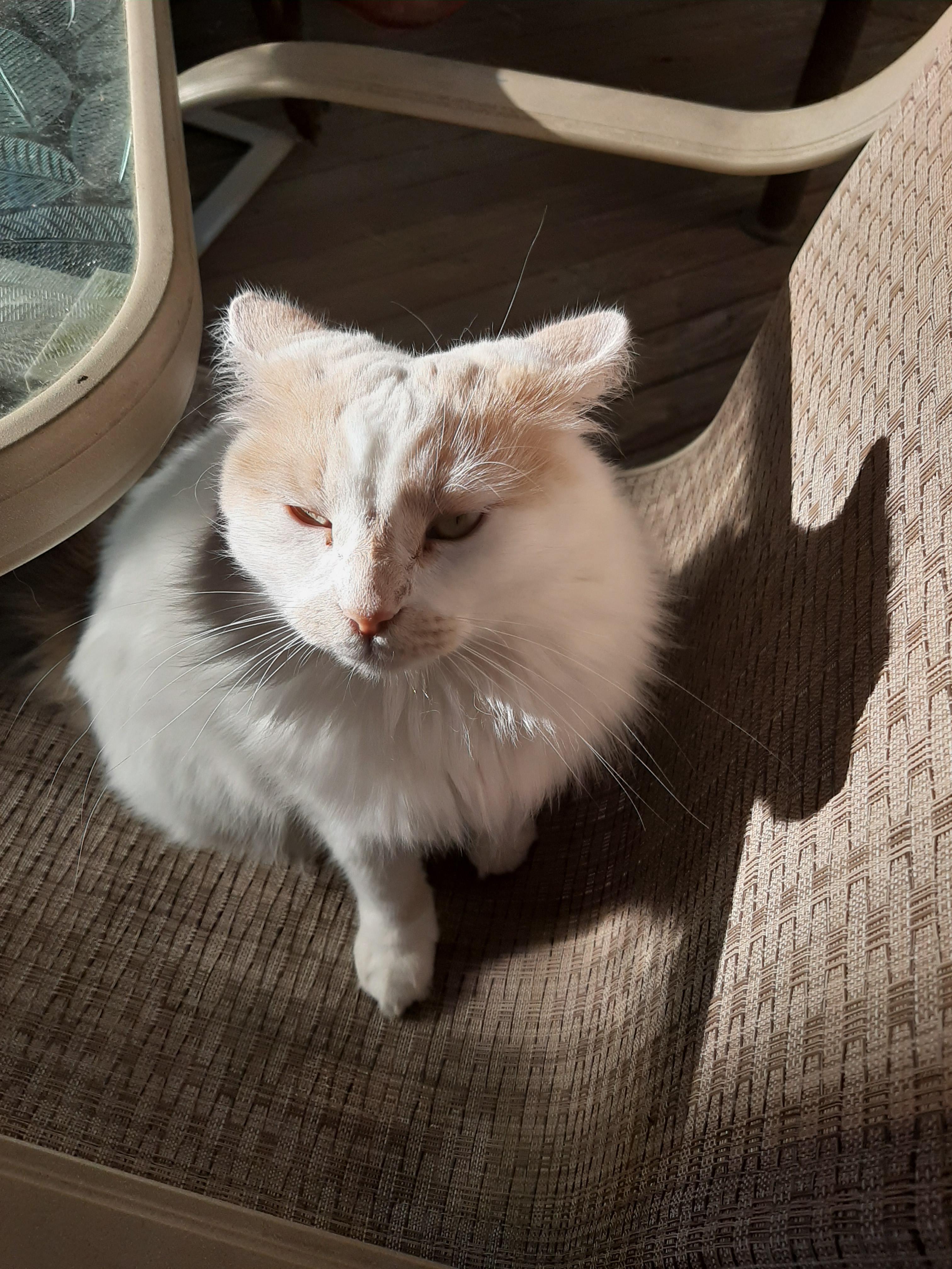 ready for takeoff! | Scrolller