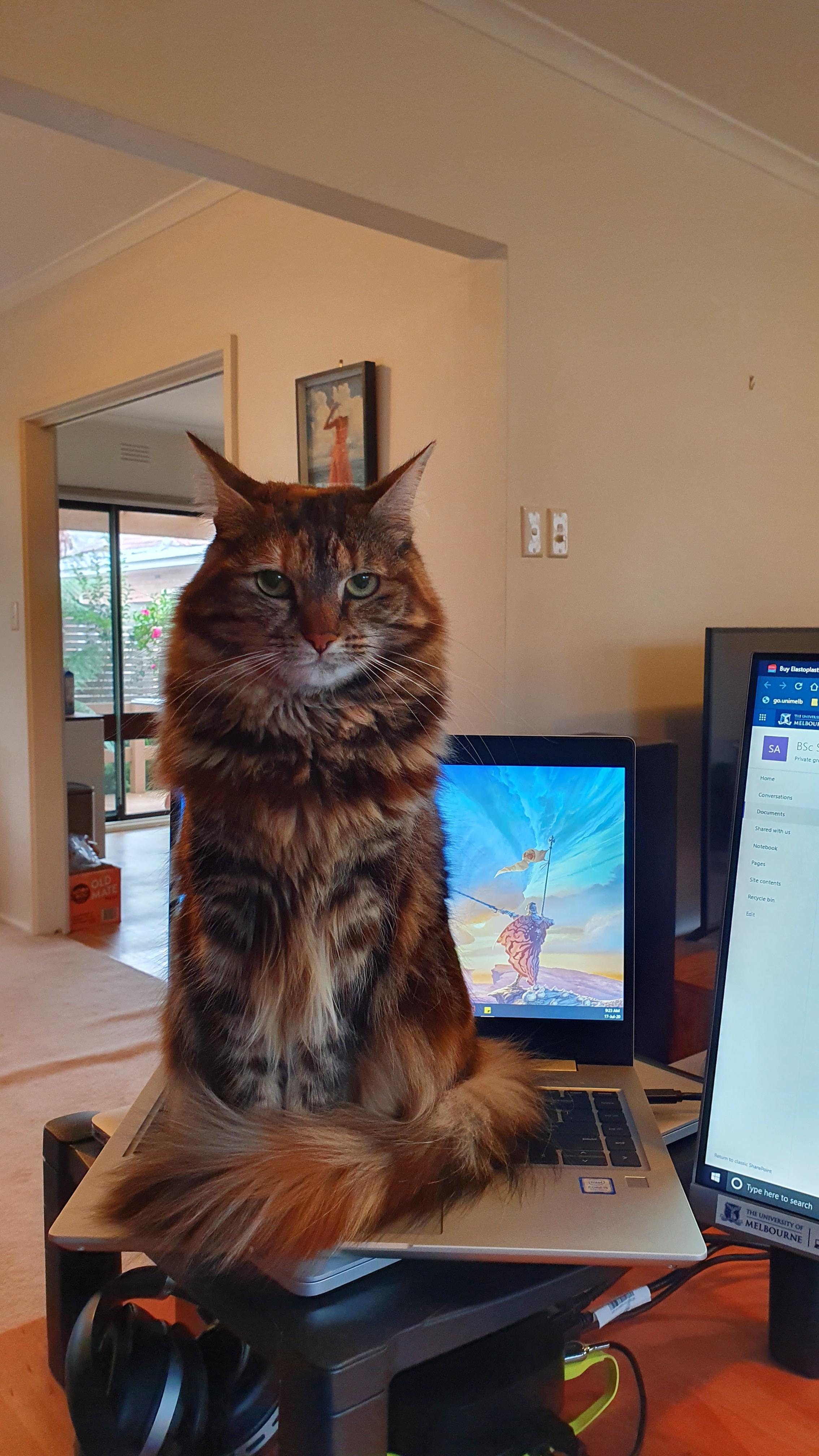 Ready for takeoff | Scrolller