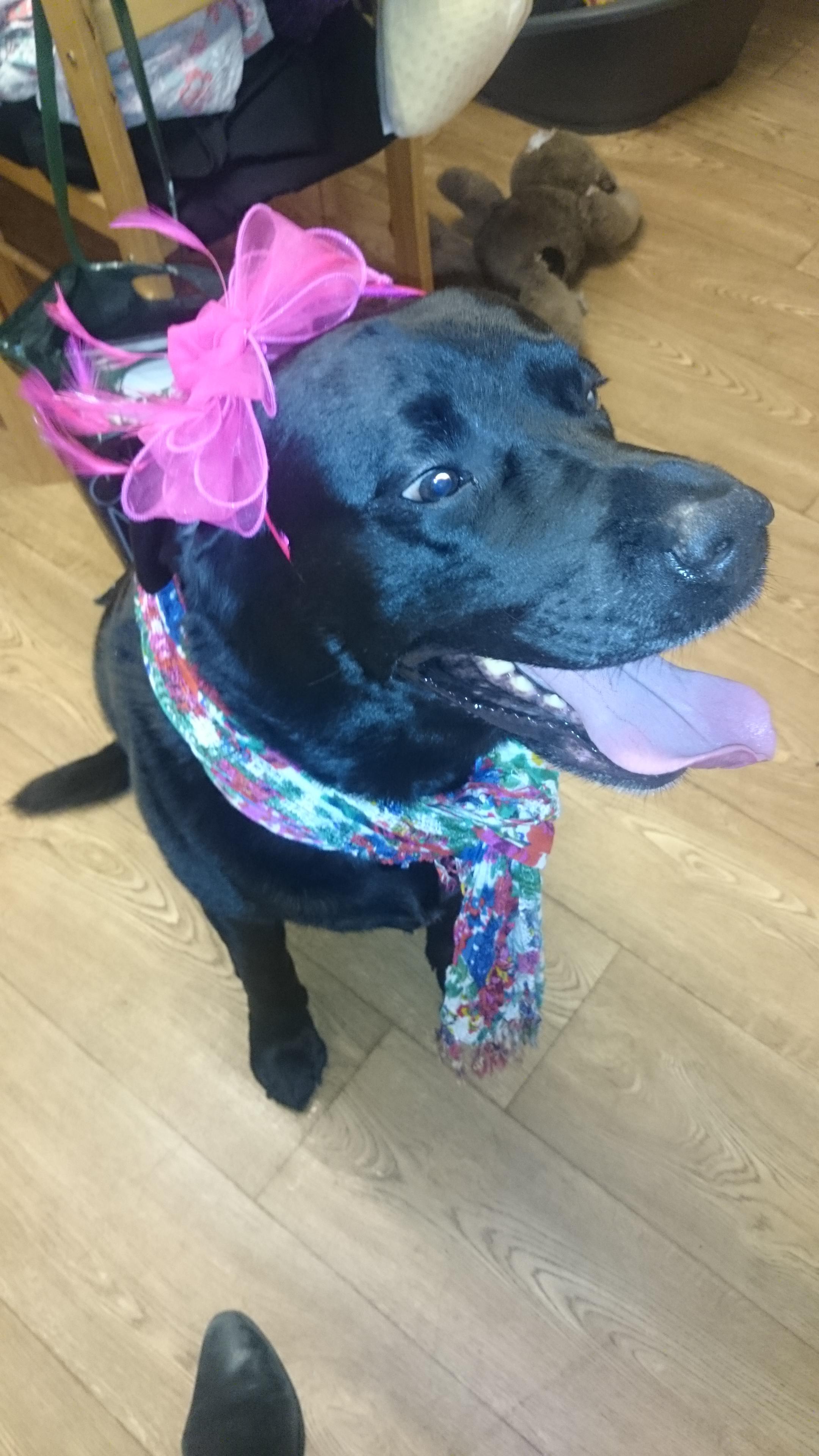 Ready For The Wedding Scrolller