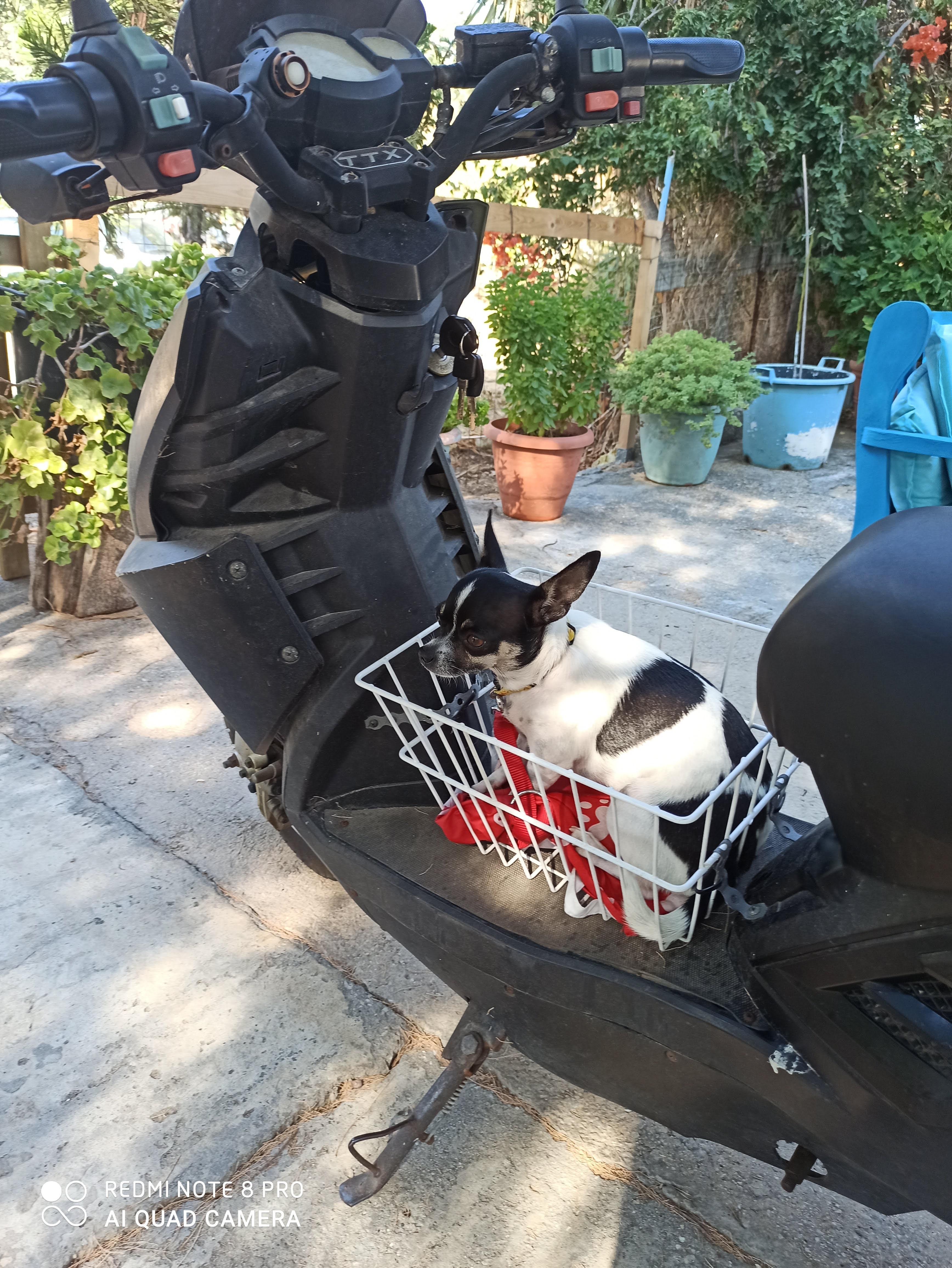 Ready Steady Go | Scrolller