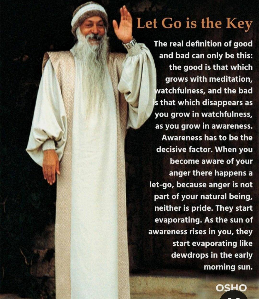 Real Growth | Scrolller