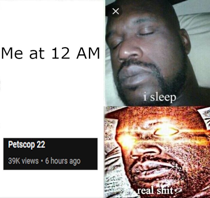 Real Shit | Scrolller