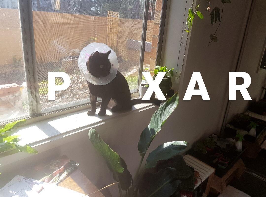 Really enjoying the new logo. | Scrolller