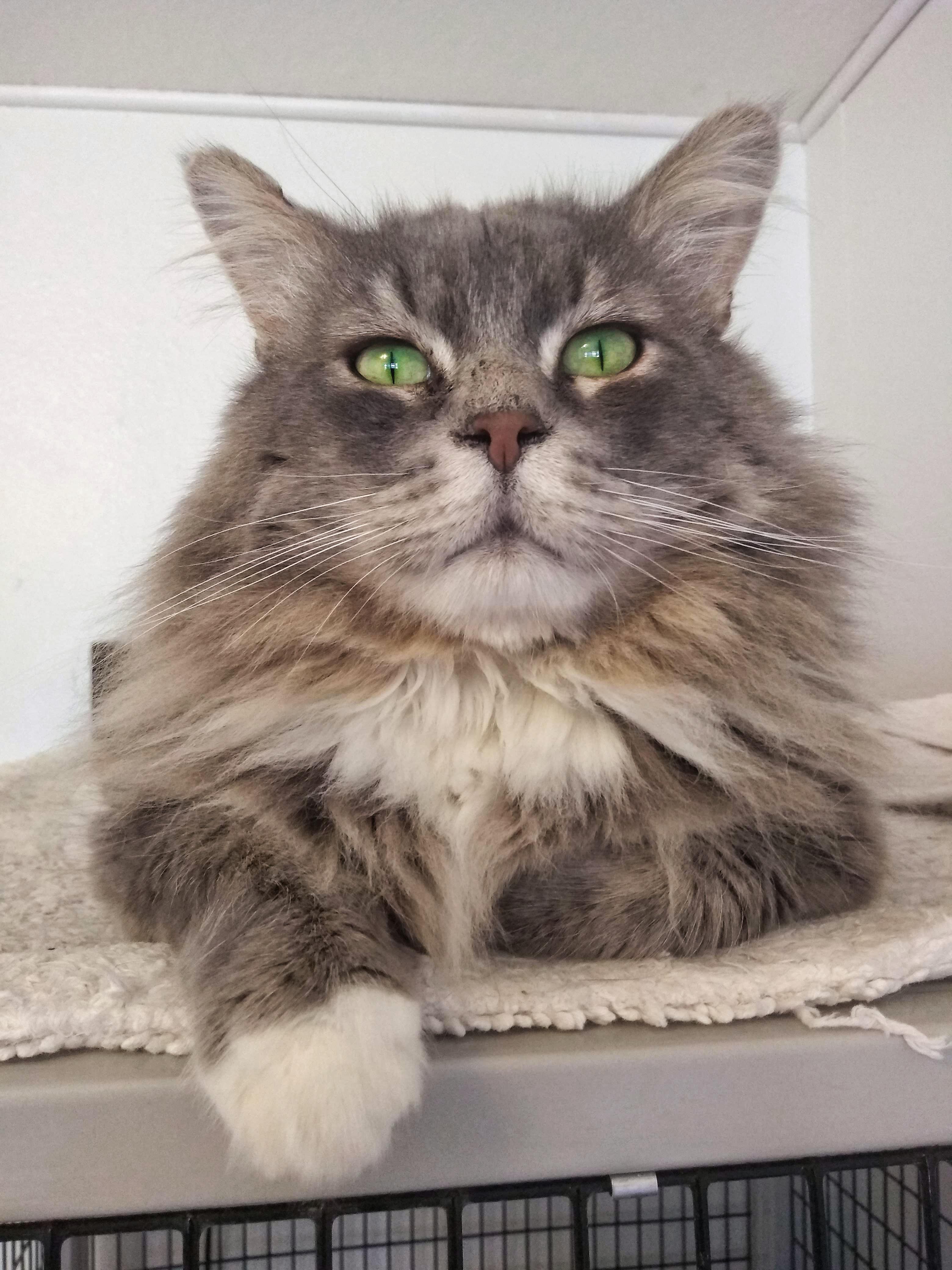 Really like this picture I got of Doug | Scrolller