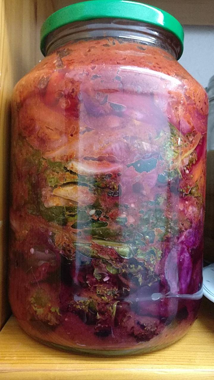 Red and greem cabbage kimchi | Scrolller