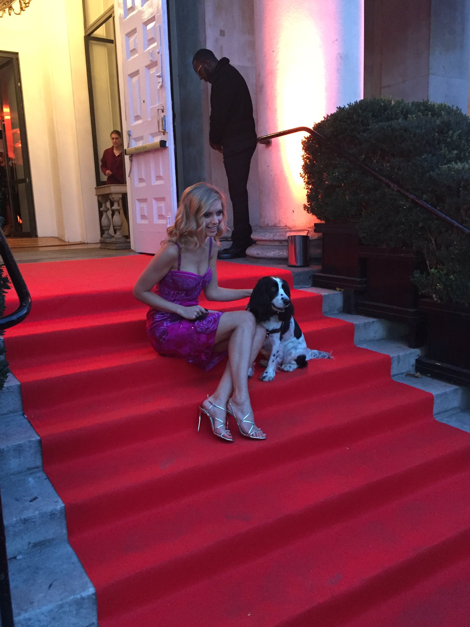 Red carpet | Scrolller