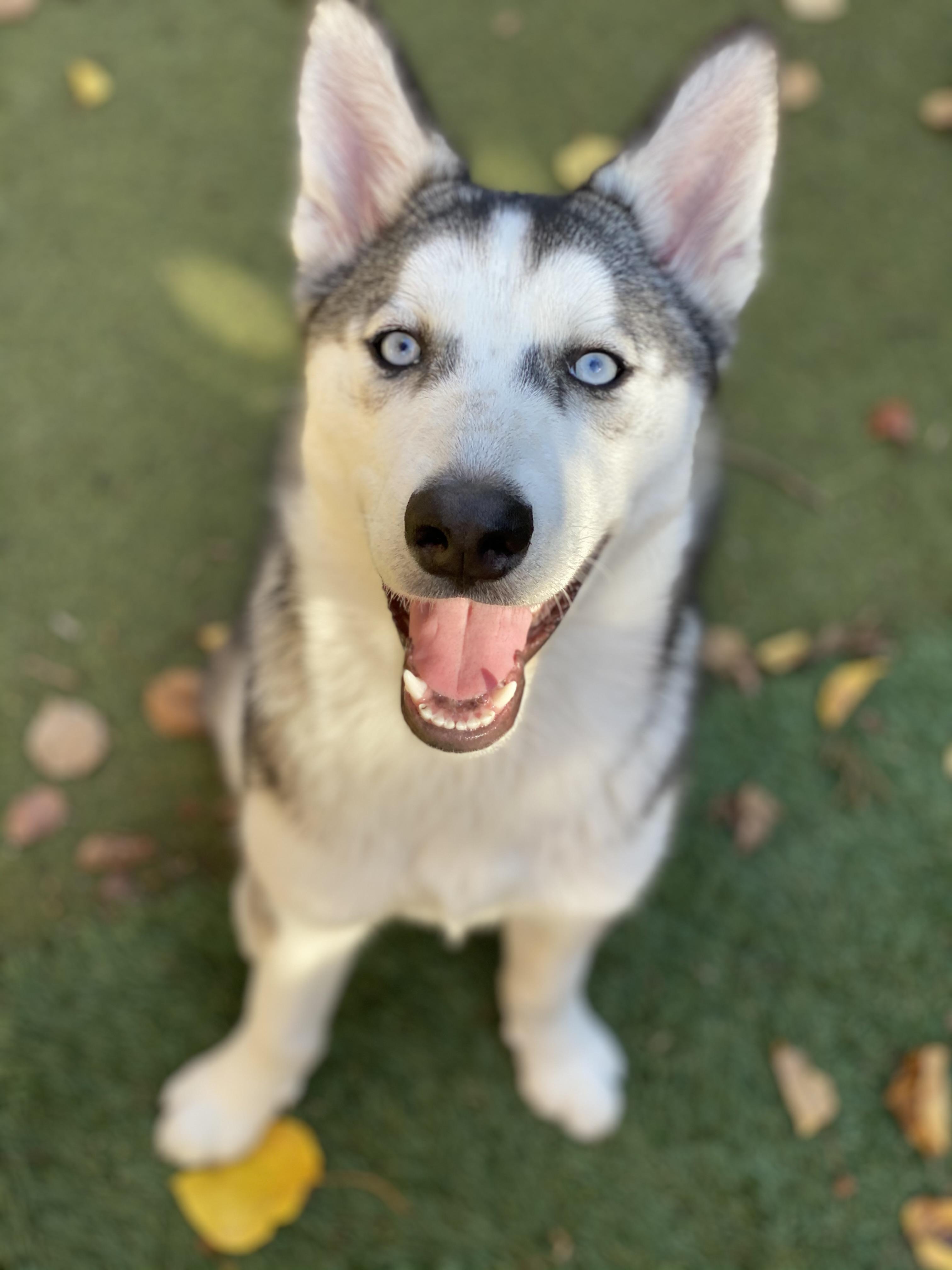 Reddit, thought it was time for you to meet Kaia | Scrolller