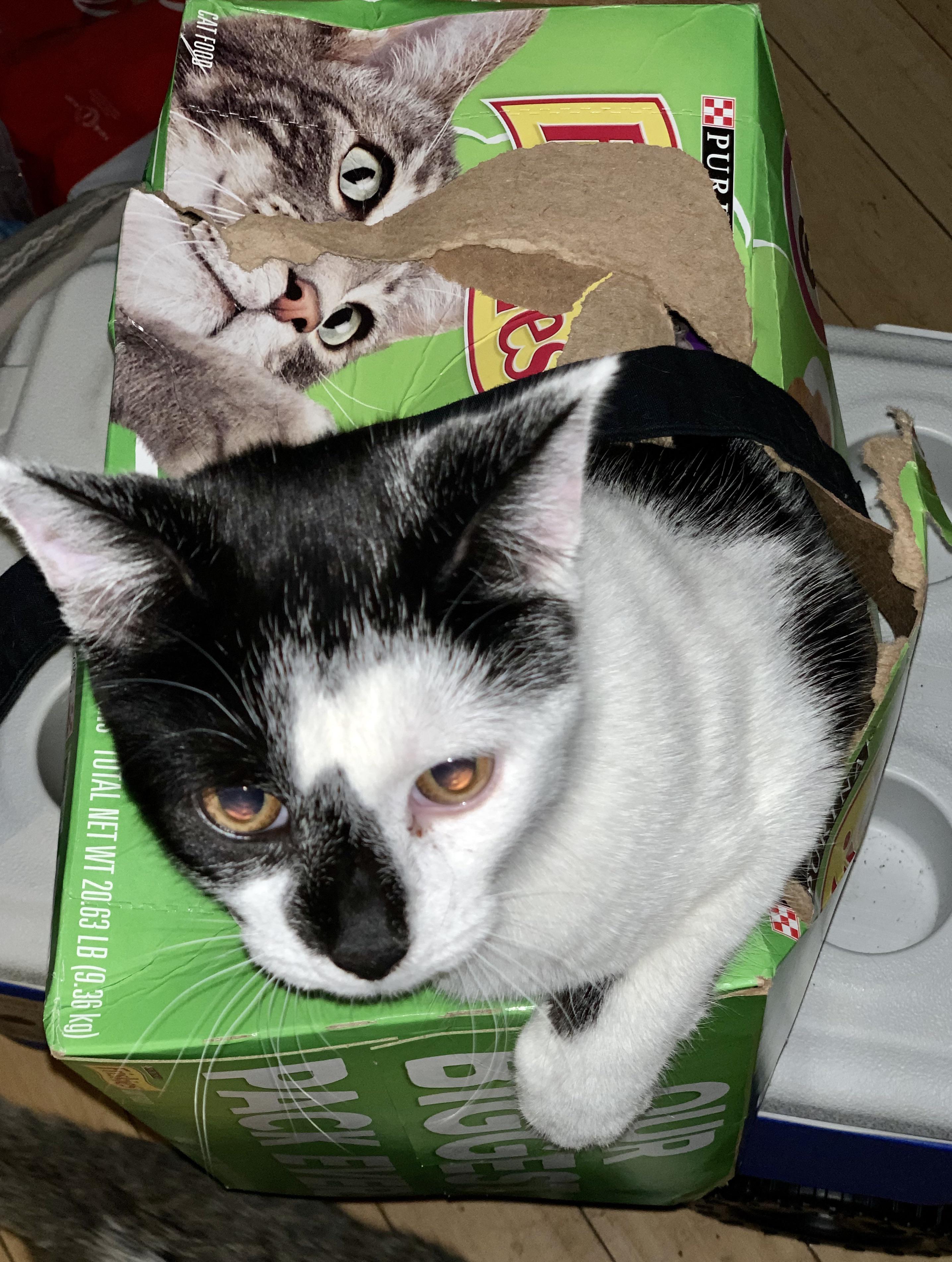 Redundancy | Scrolller