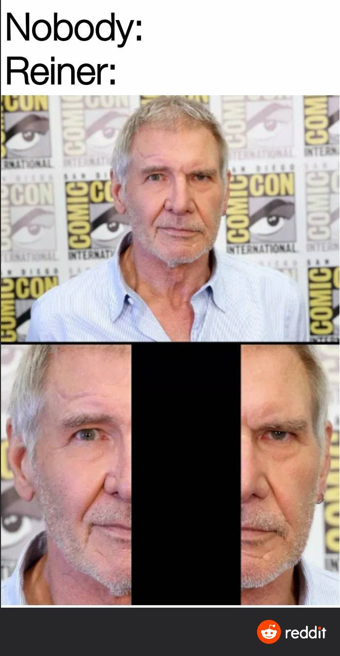 Reiner in an Nutshell!! | Scrolller