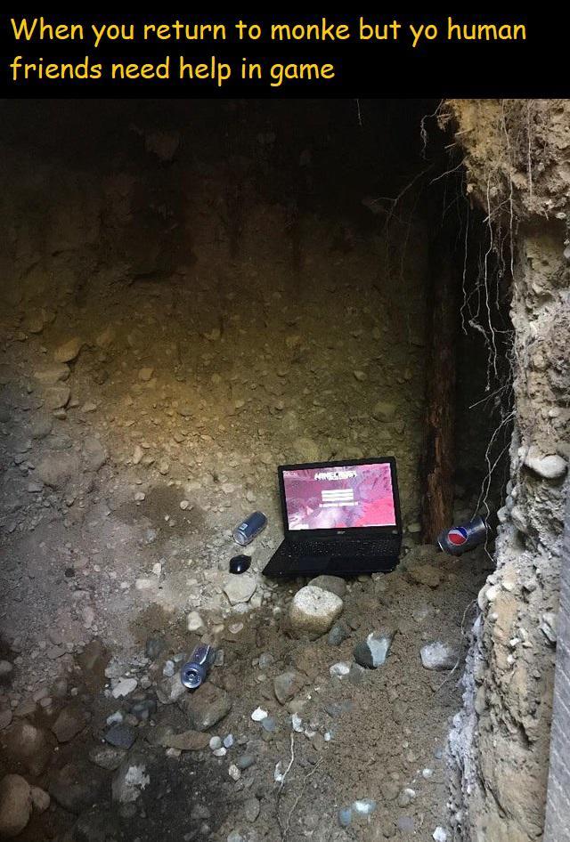 Reject humanity.. return to monke.. terms and conditions applied | Scrolller