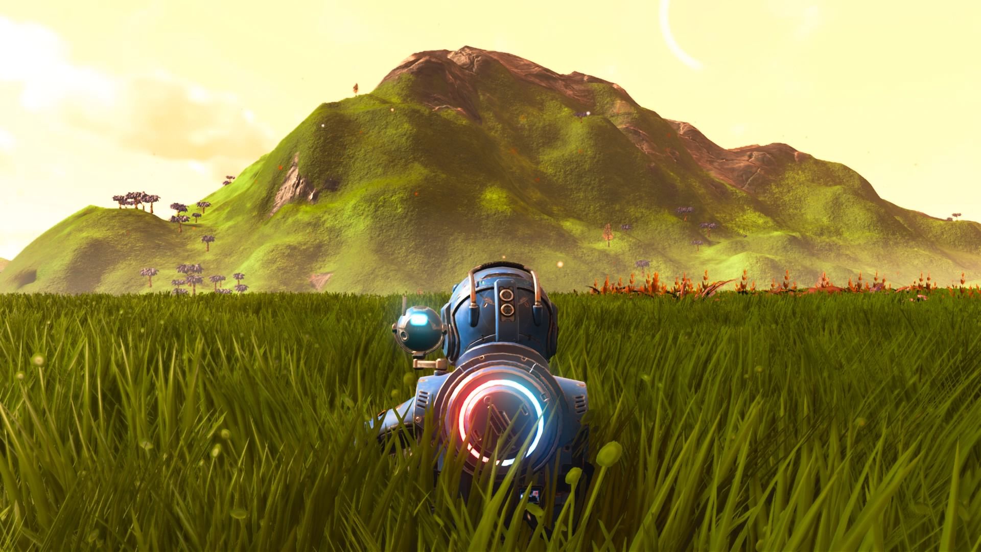 Relaxing look | Scrolller