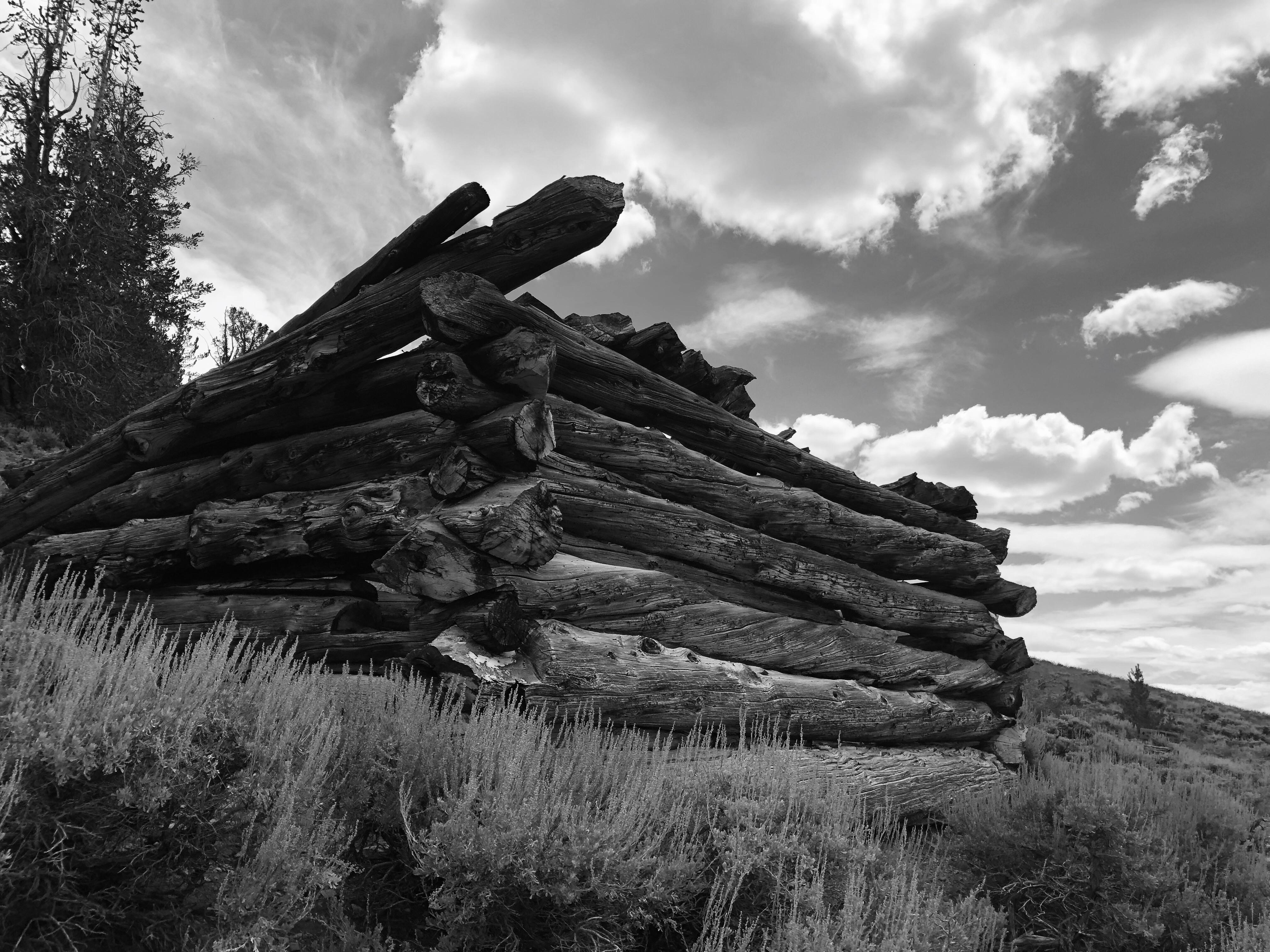Remains of an abandoned log cabin in the White Mountains of Eastern California. | Scrolller