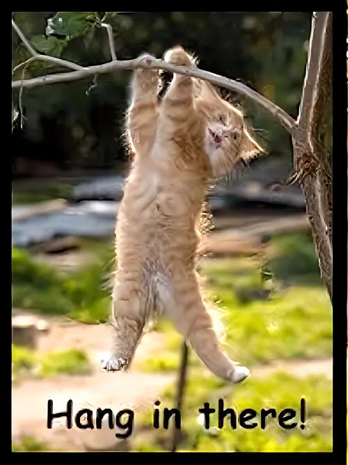 Remember just hang in there things will get better :) | Scrolller