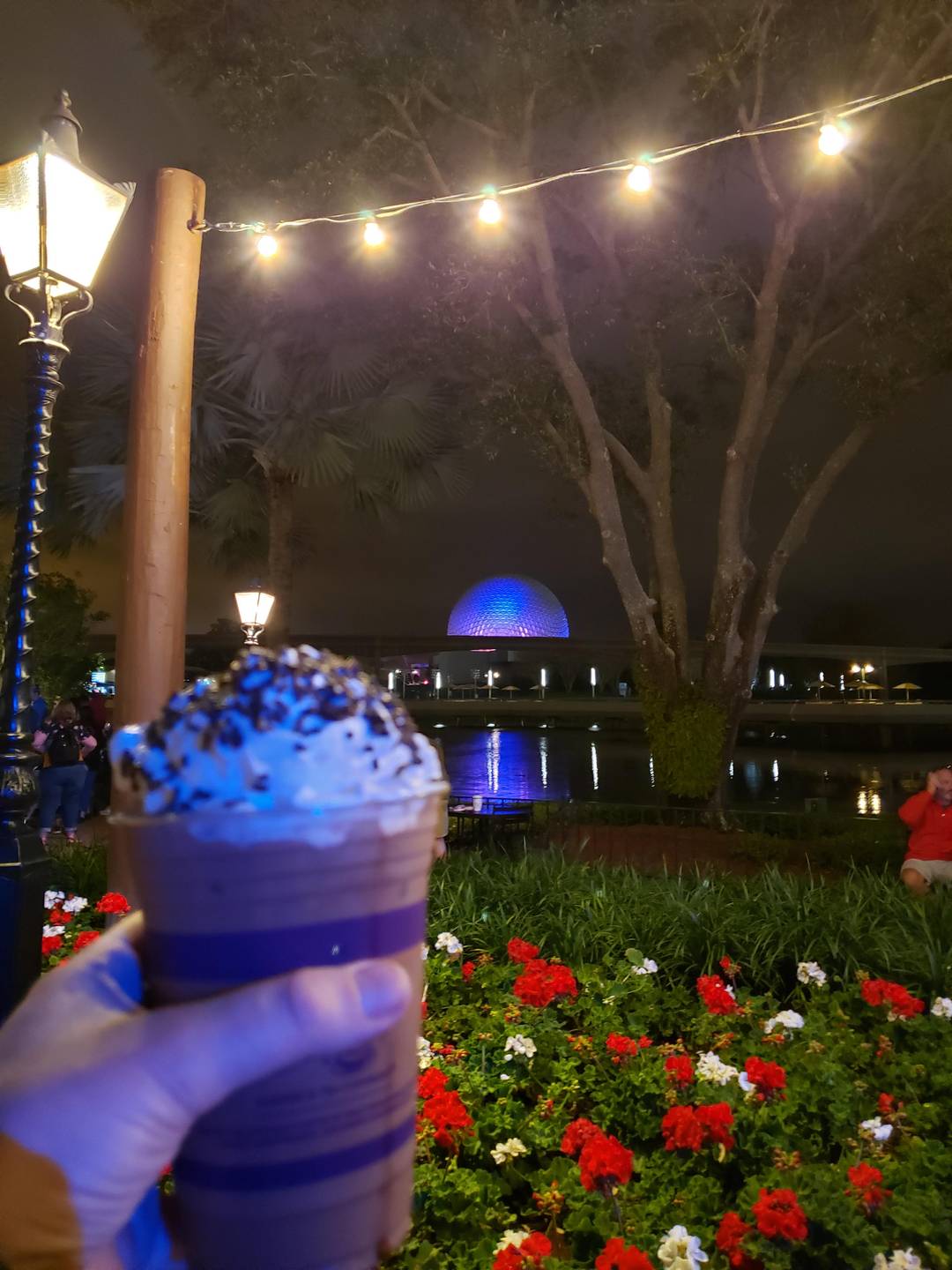Renaissance Pairing Epcot | Scrolller