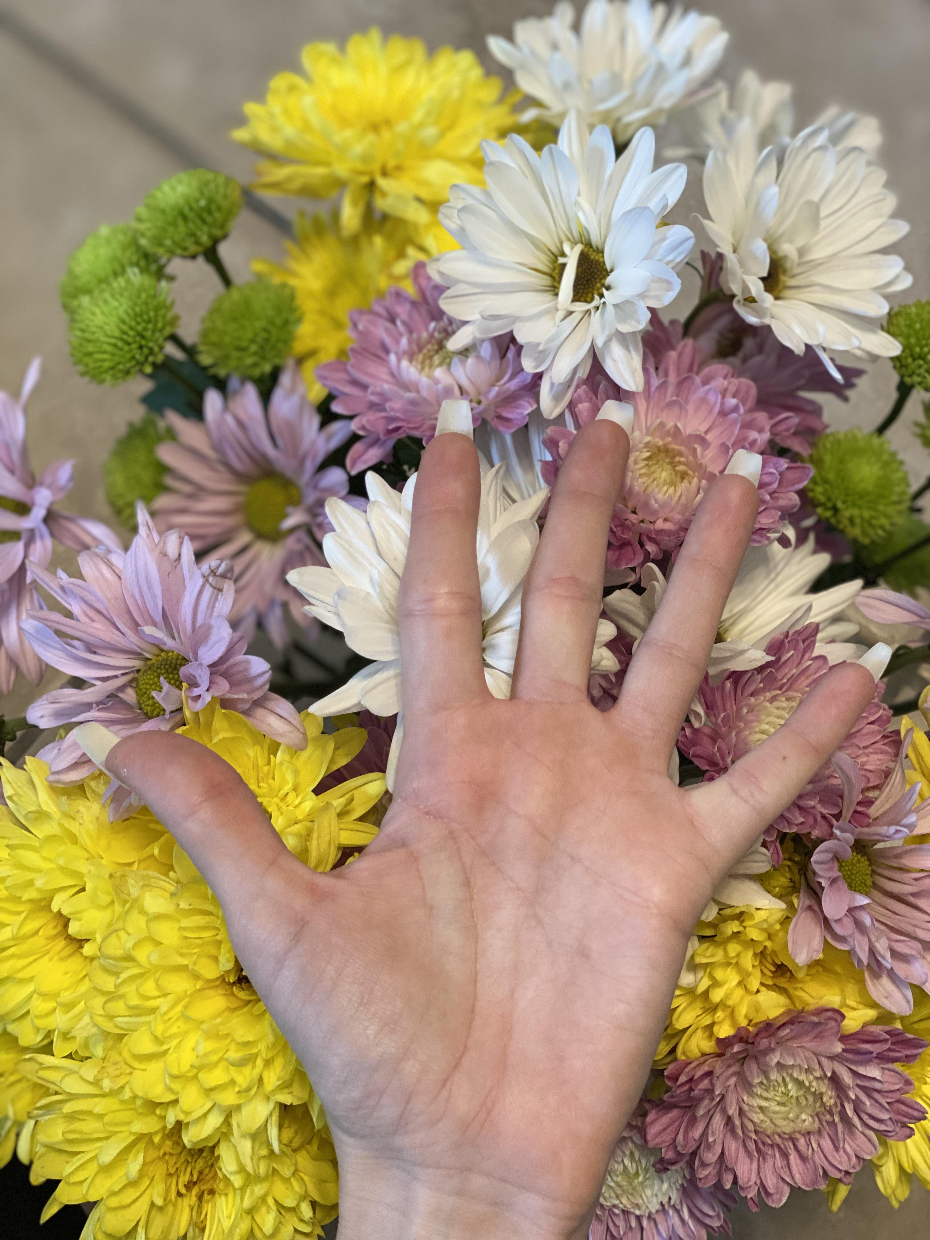 Requested 💕 | Scrolller