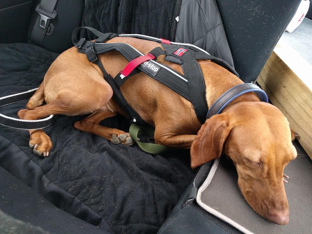 RESULTS! | Scrolller