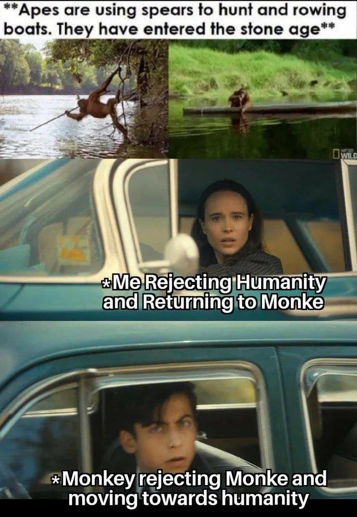 Reverse card intensifies. | Scrolller