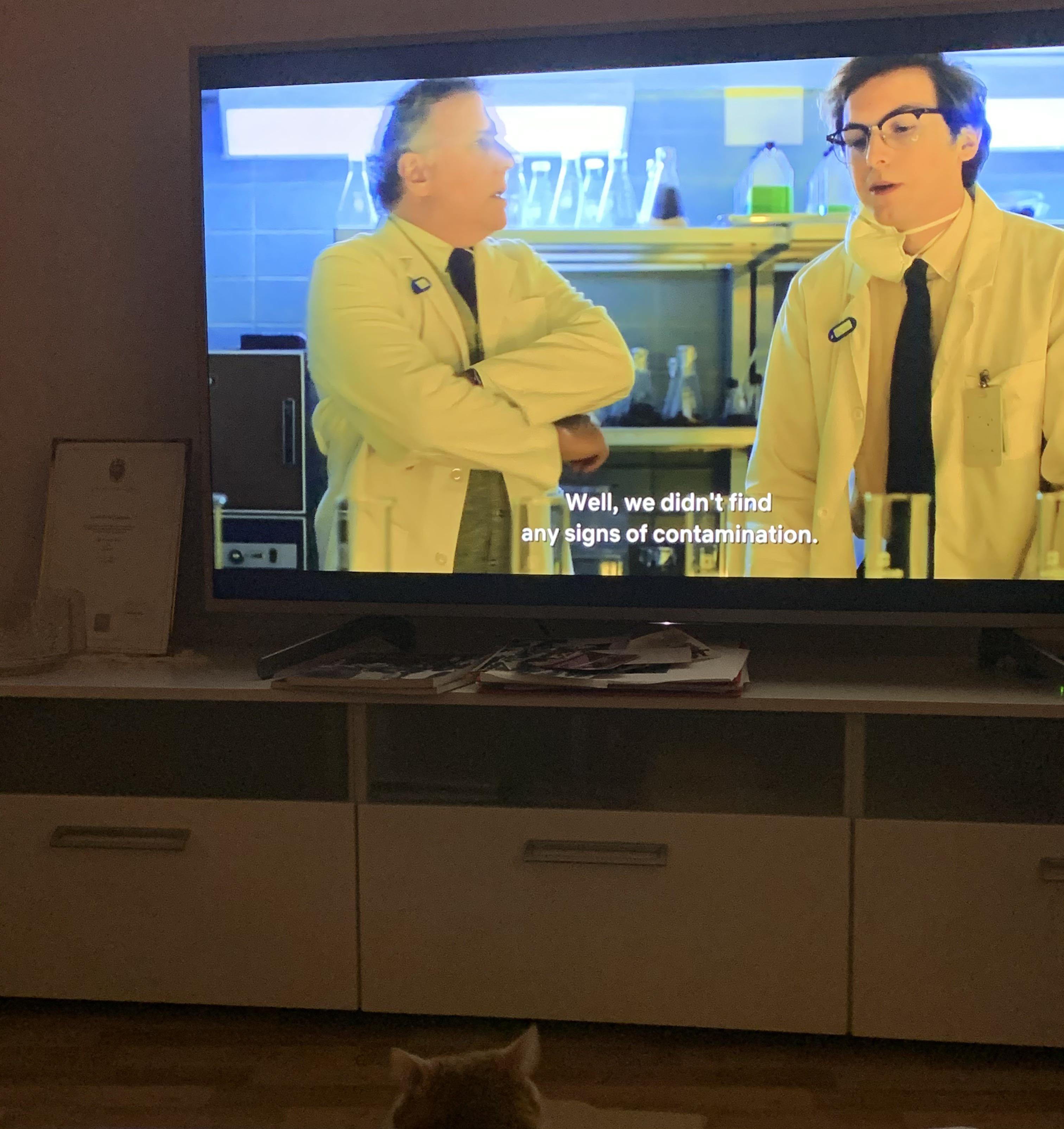 Rewatching season 2 with my cat💖 | Scrolller