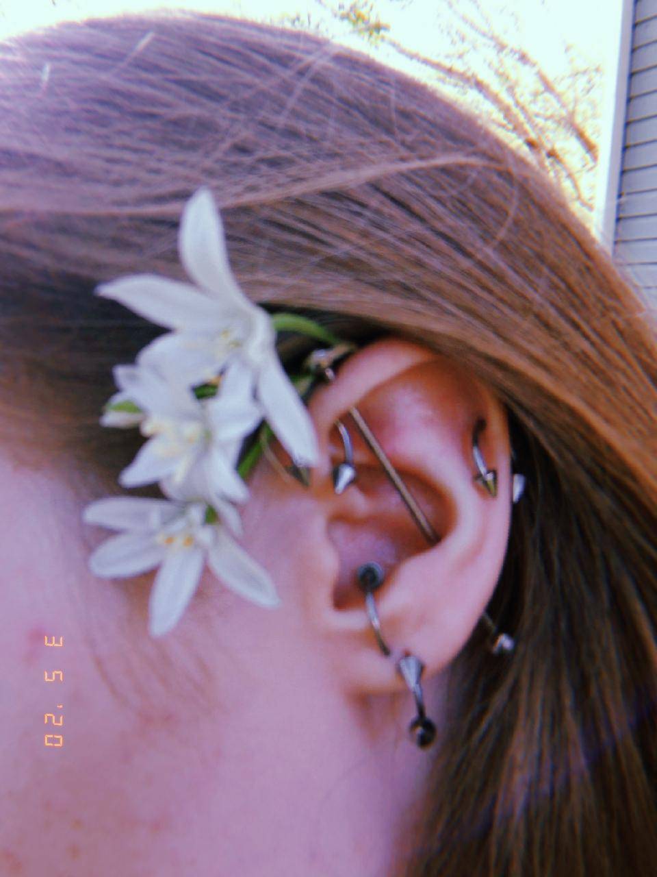 Right ear appreciation! | Scrolller