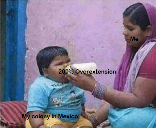 Rinse and repeat after 5 years | Scrolller