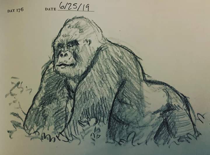 RIP Harambe | Scrolller