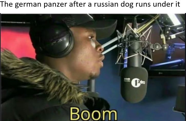 RIP soviet anti-tank dogs | Scrolller