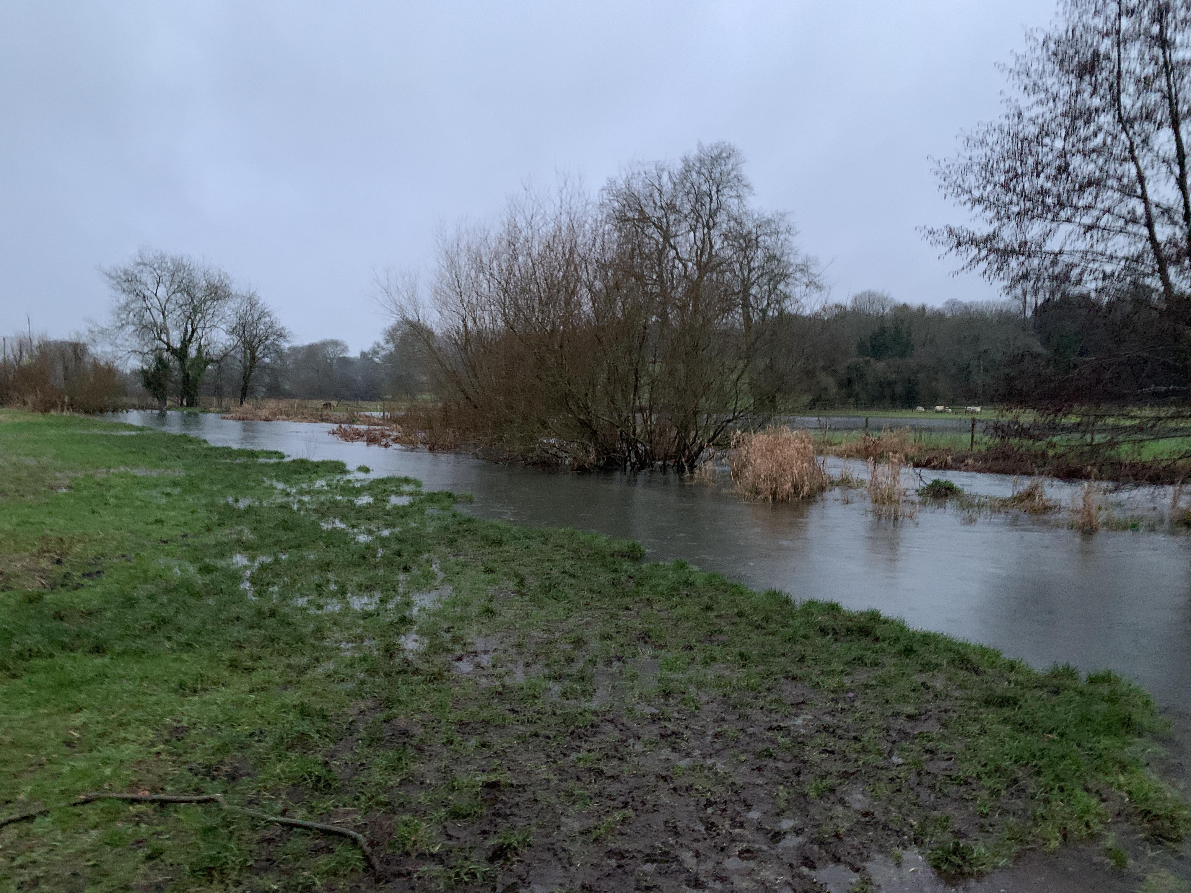 River Meon about to flood | Scrolller