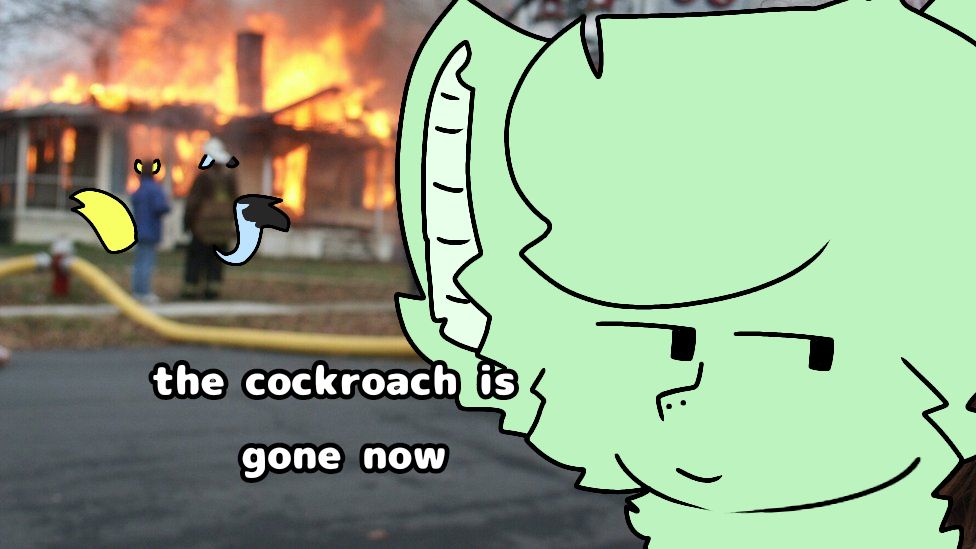 Roach_irl | Scrolller