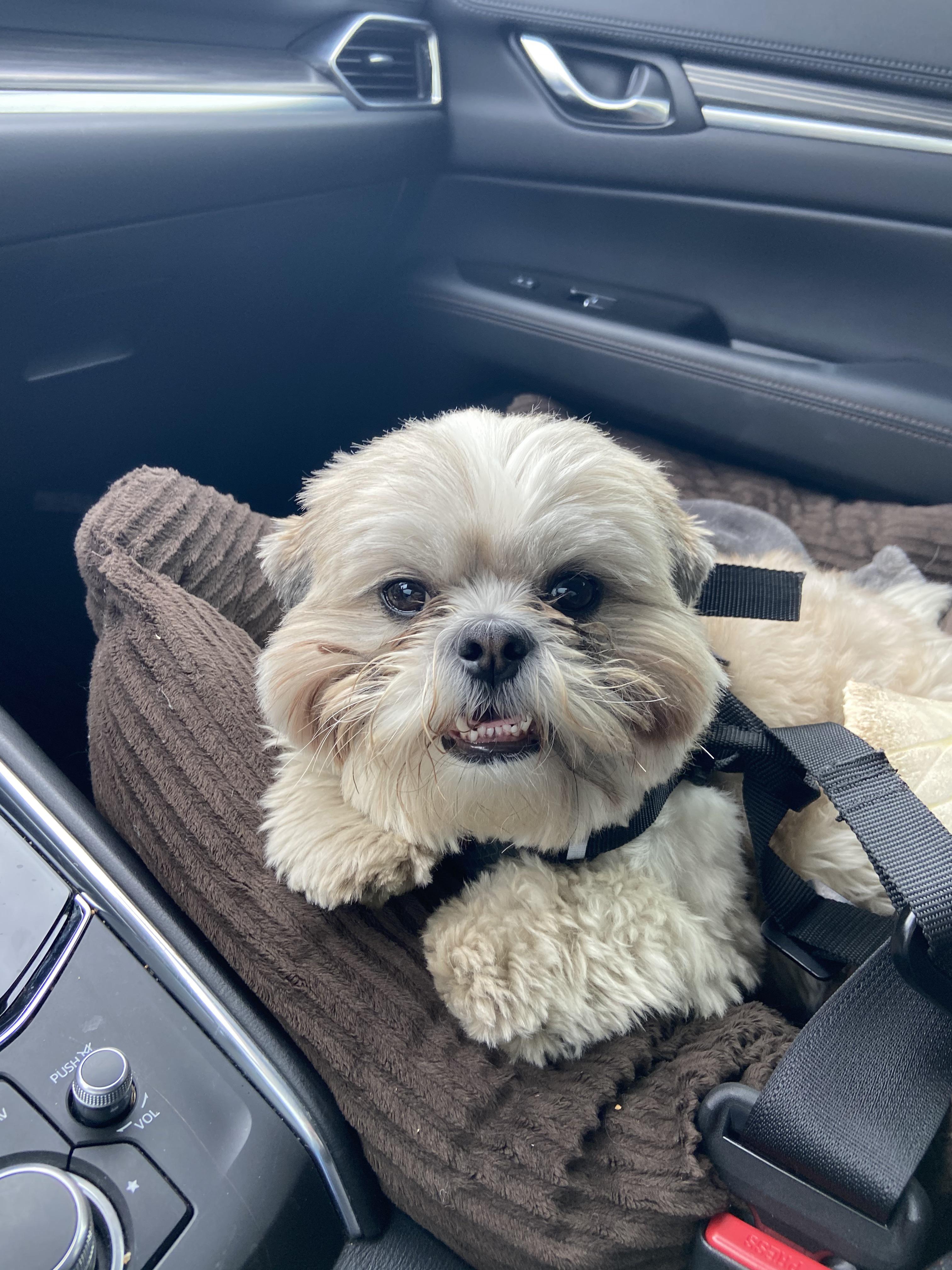 Road trip! | Scrolller