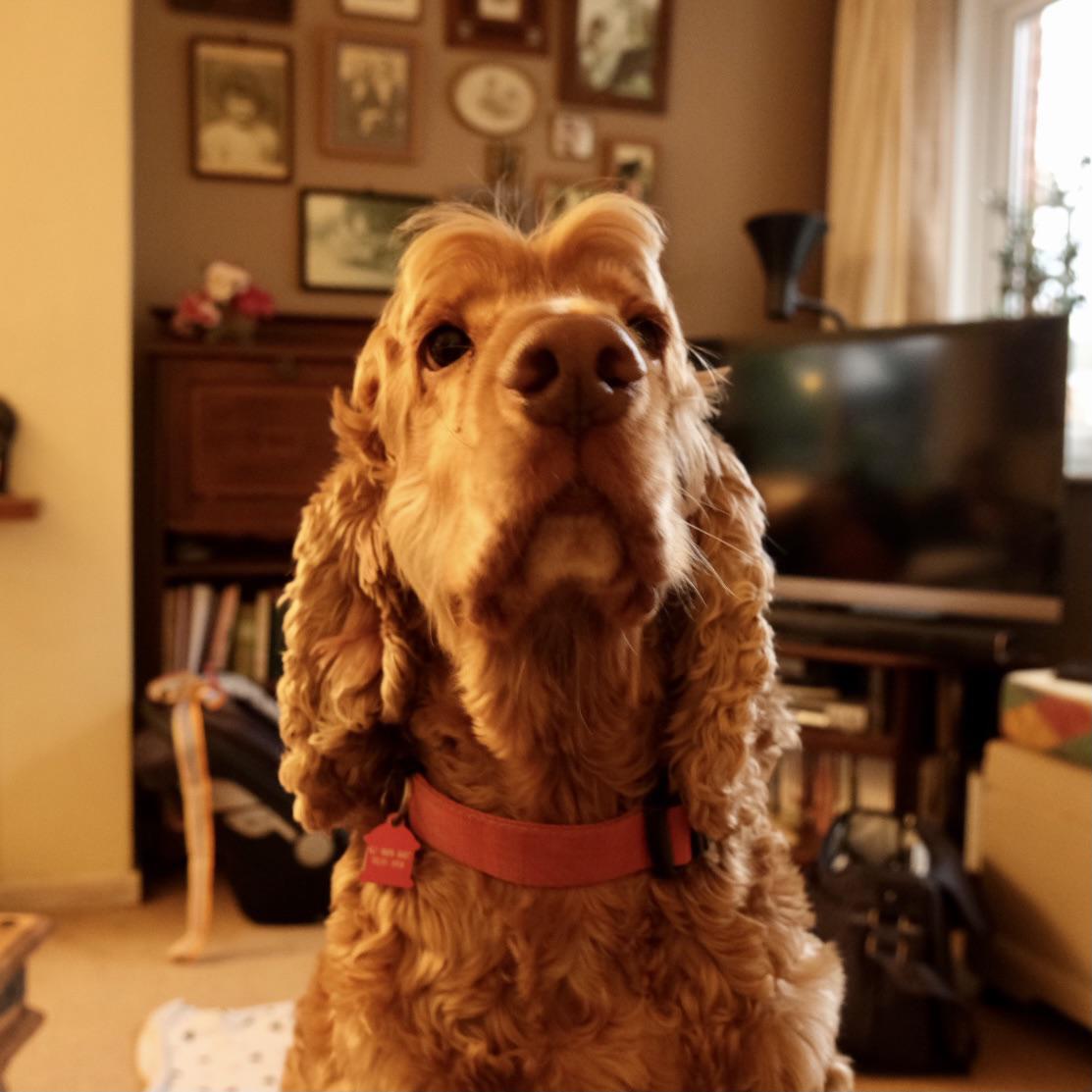 Roger knows he’s handsome | Scrolller