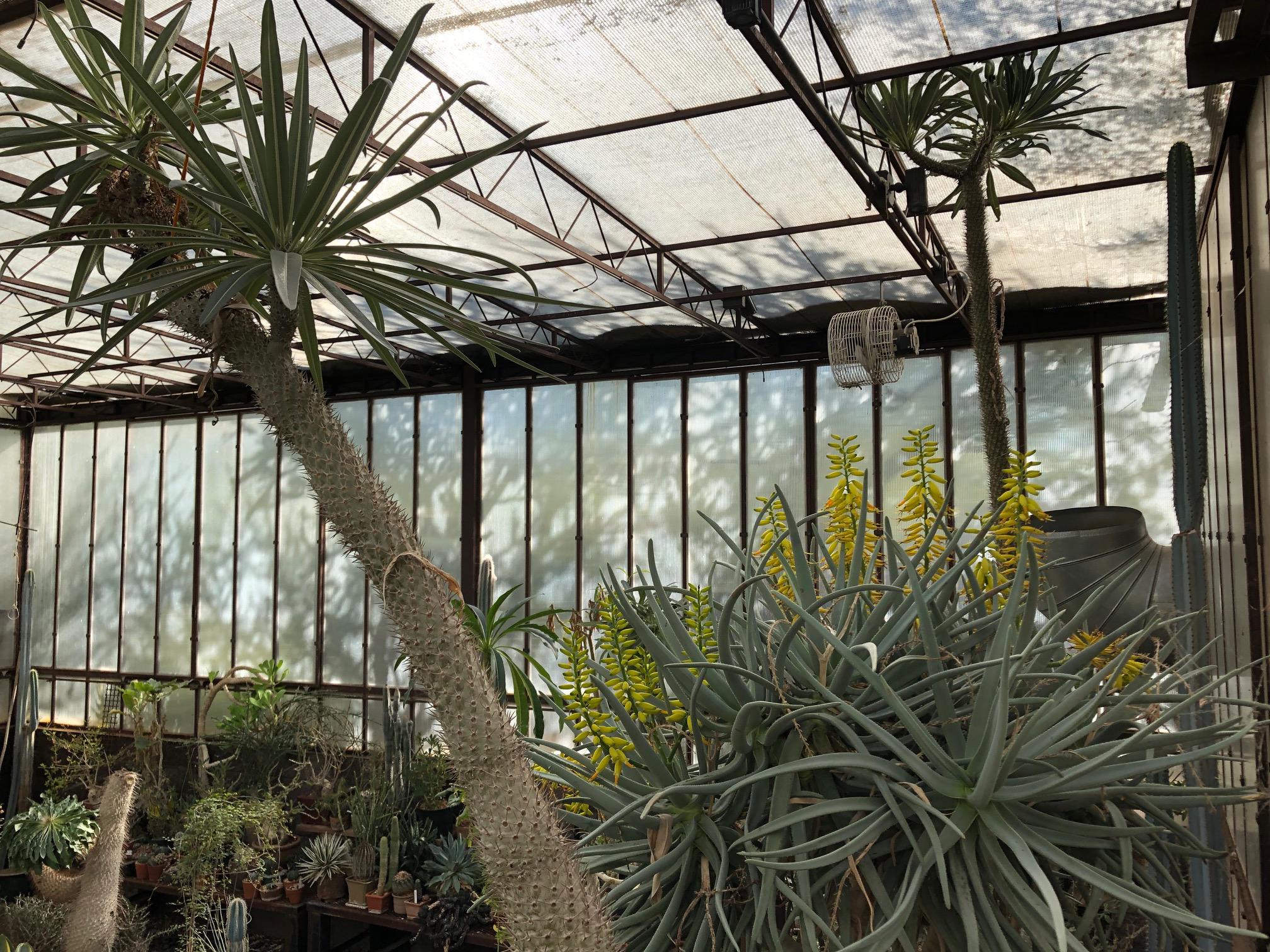 roof structure | Scrolller