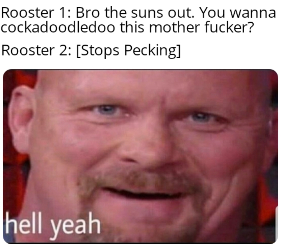 Roosters know how to party | Scrolller