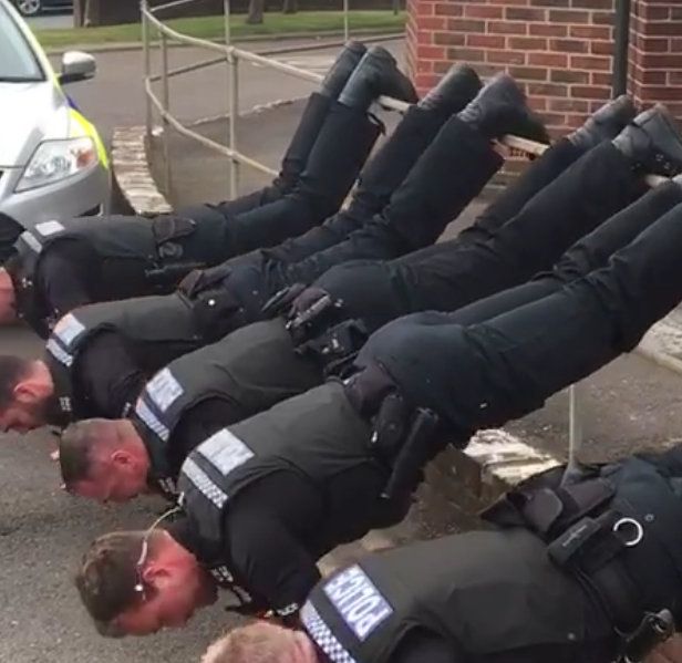 Row of Cops | Scrolller