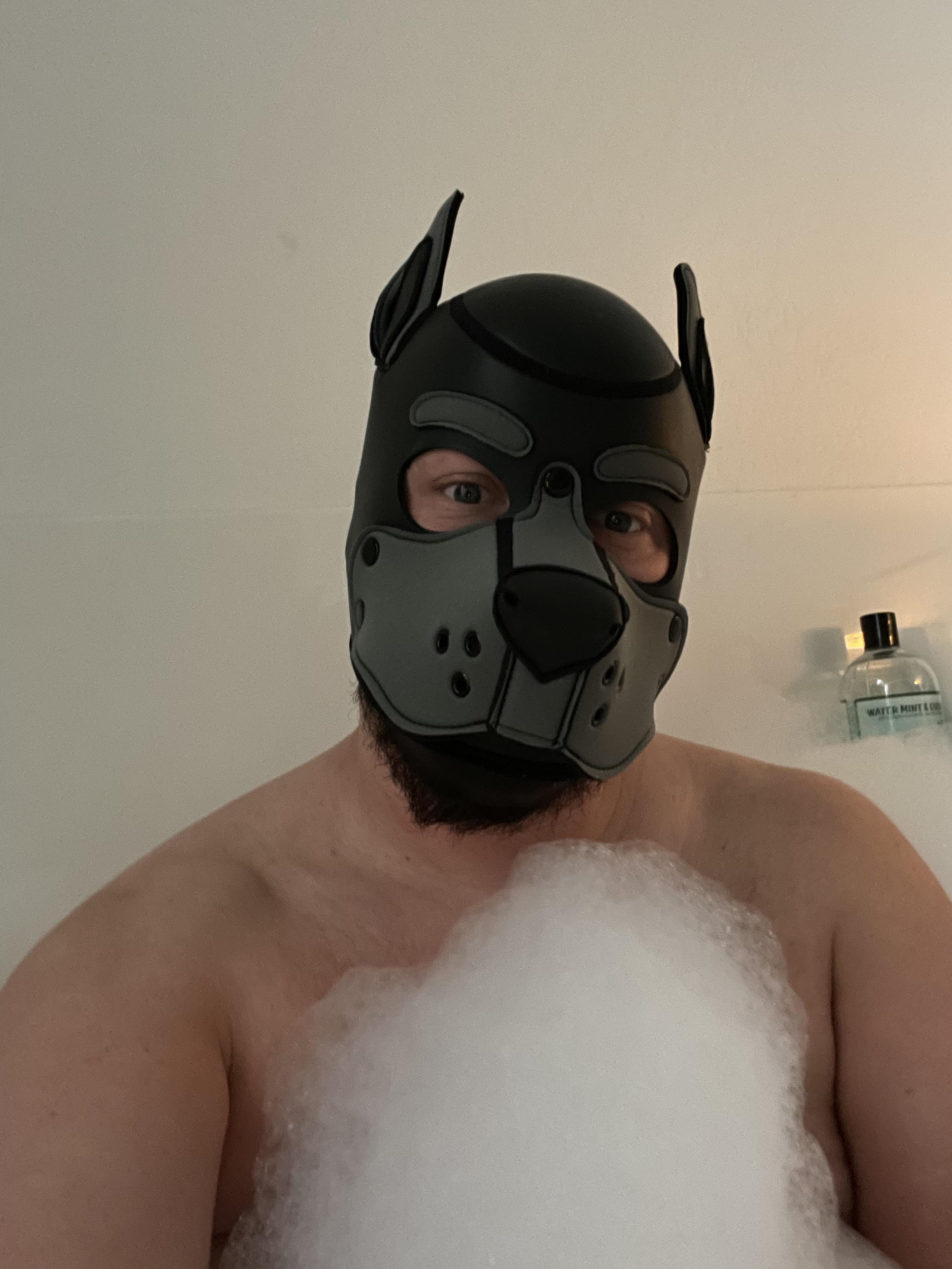 Discover more like PupPlay: Rub a dub dub, pup in the tub and Related Content | Scrolller