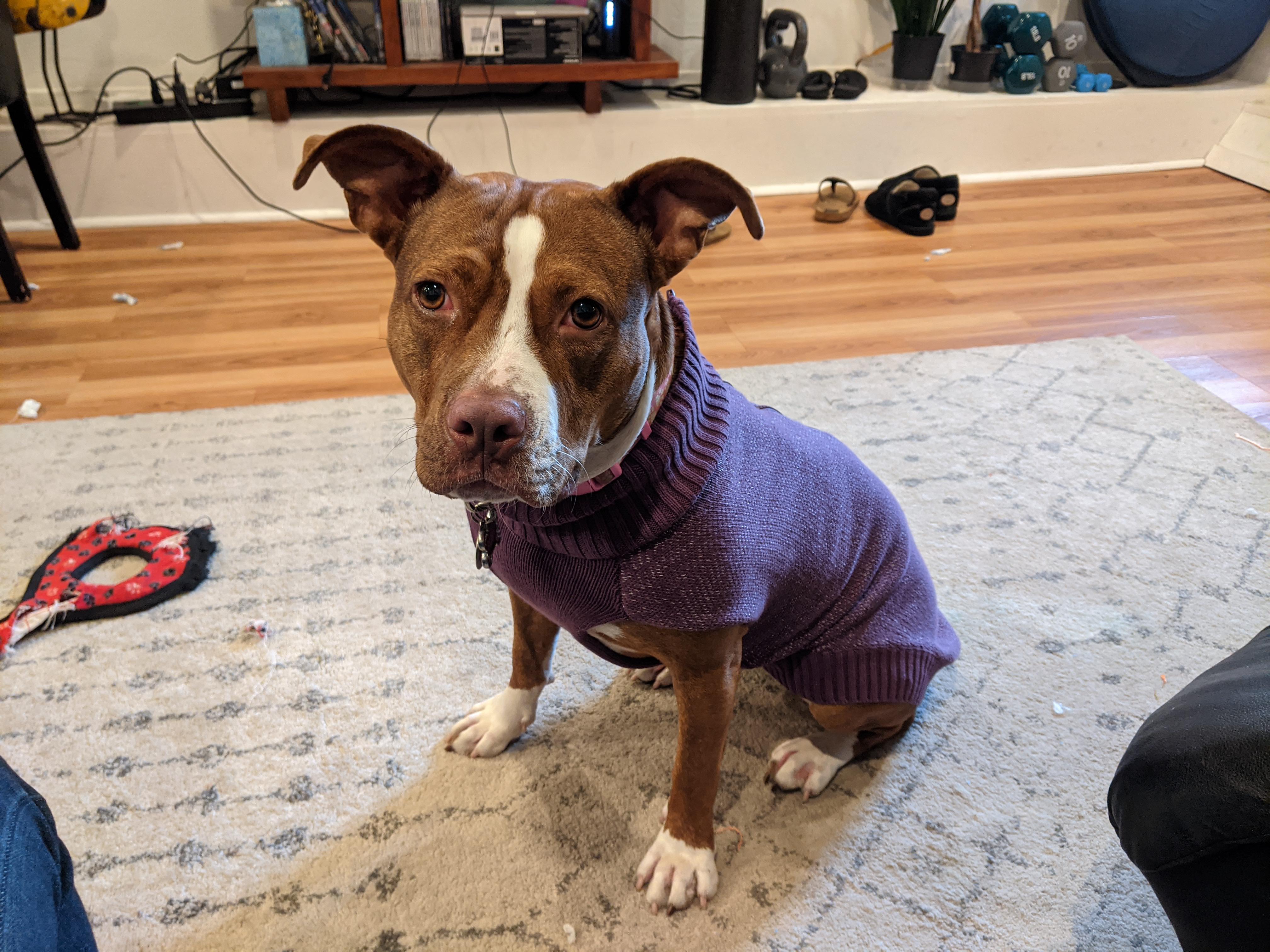 Ruby feeling cozy in her new sweater | Scrolller