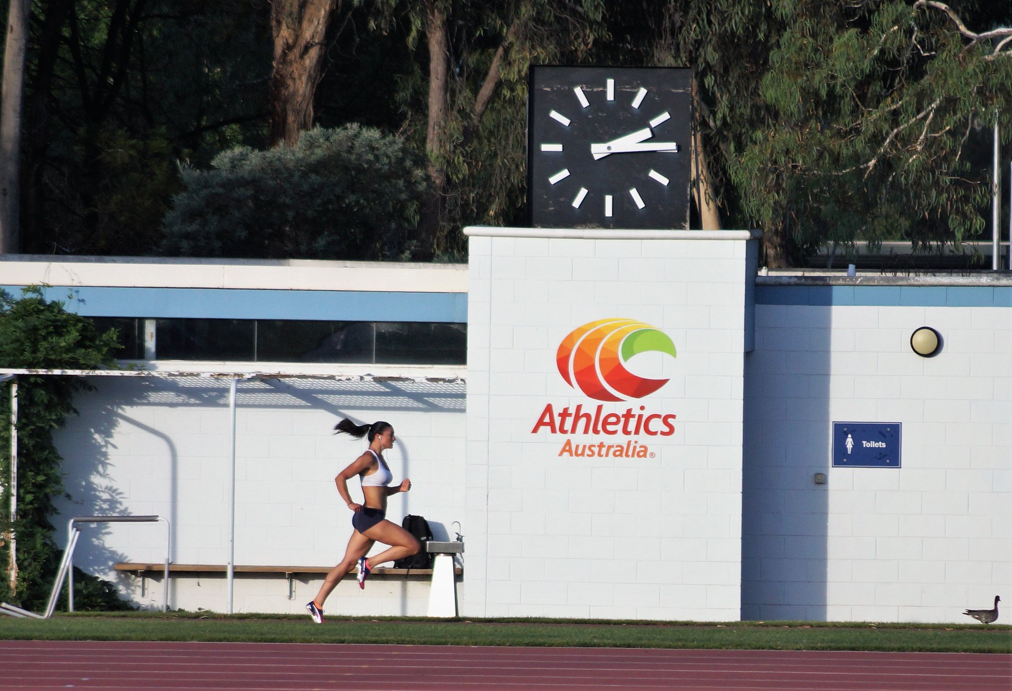 Discover more like MichelleJenneke: Run and Related Content | Scrolller