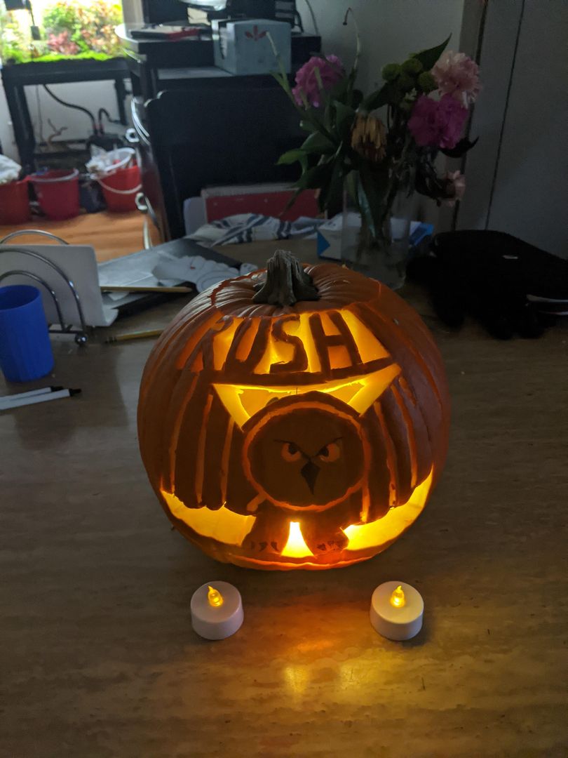 Rush Pumpkin! | Scrolller