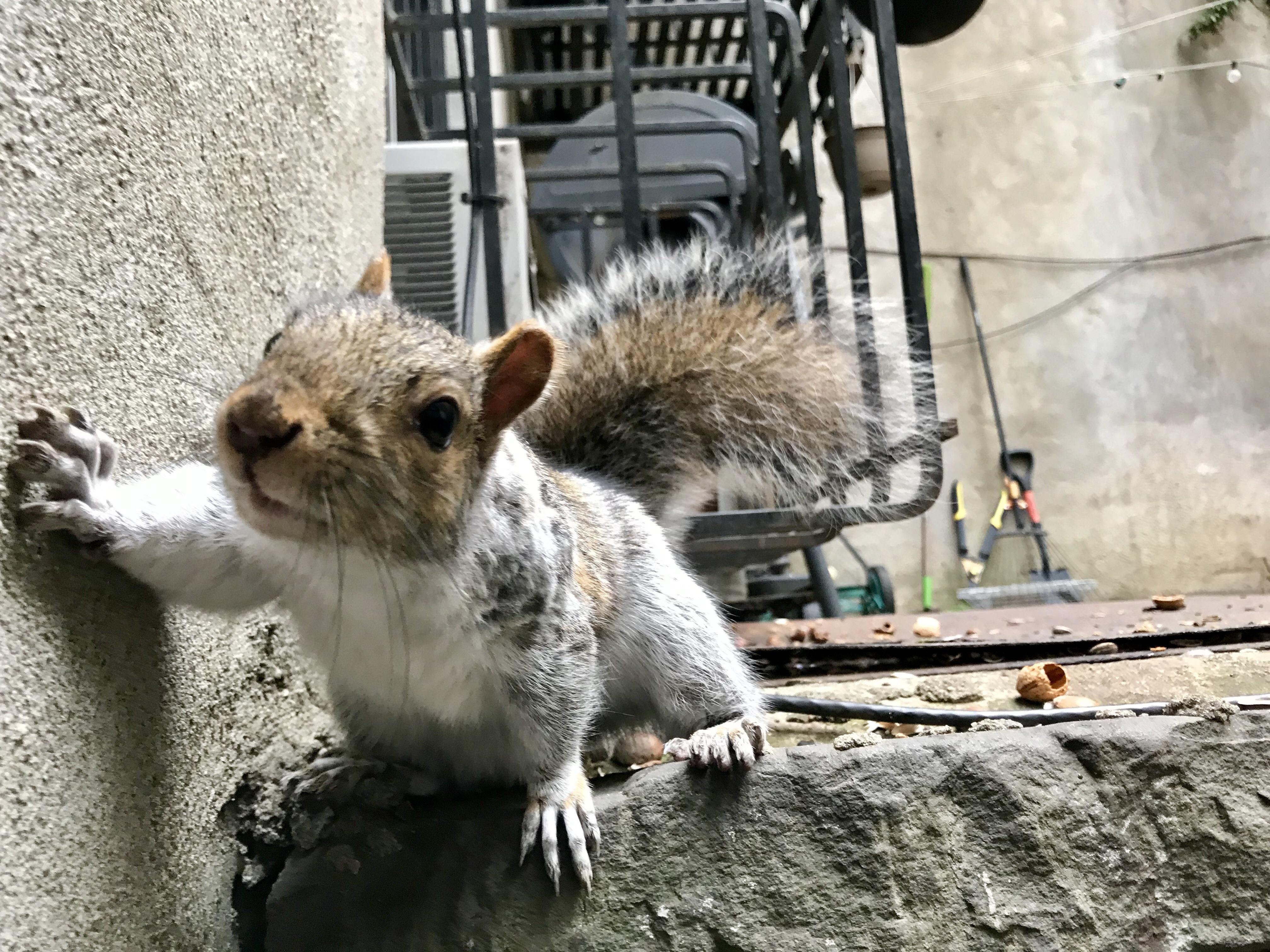 S’up? Got nuts? | Scrolller