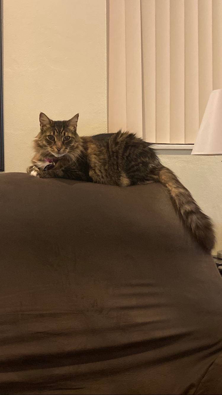 Saammy has never looked so polite! | Scrolller